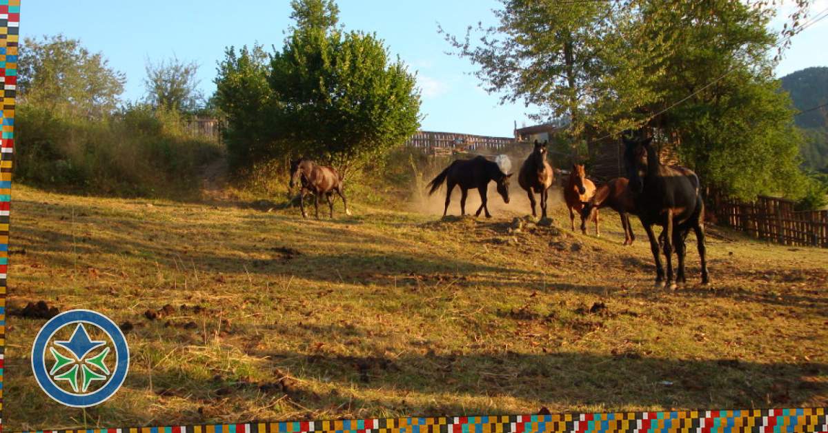 Ismena — SPA Devin, Bulgaria