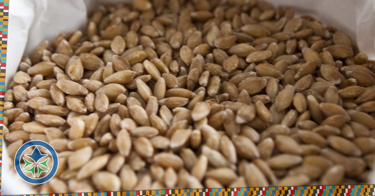 The Ismena Flower — Ismena SPA Devin, Bulgaria